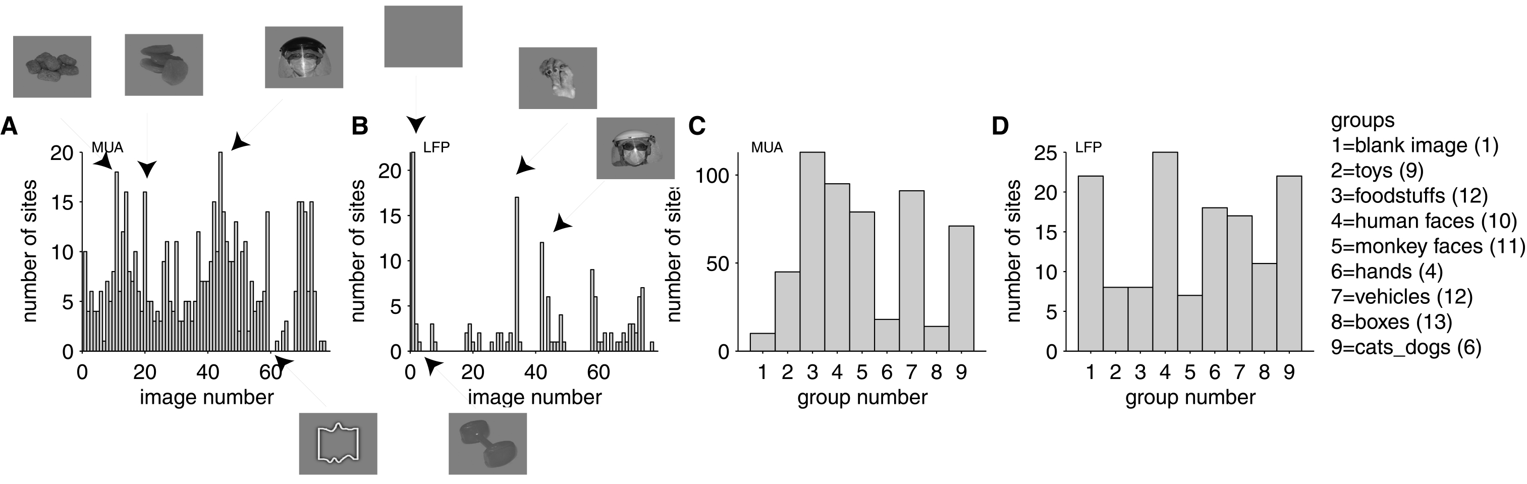 summary selectivity